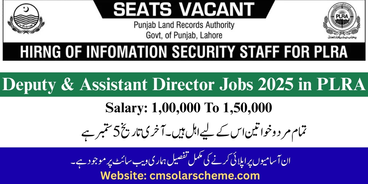 Deputy & Assistant Director Jobs 2025 in Punjab Land Records Authority ...